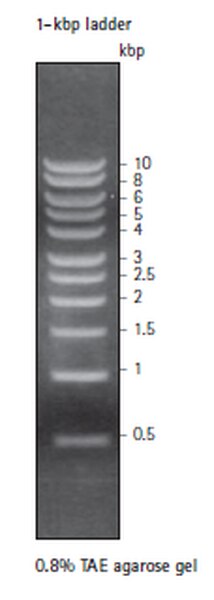Perfect DNA™ 1 kbp Ladder - Novagen | 70537